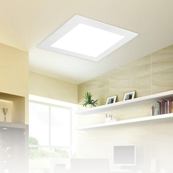 Panel Light | PASHA Energy Ltd.